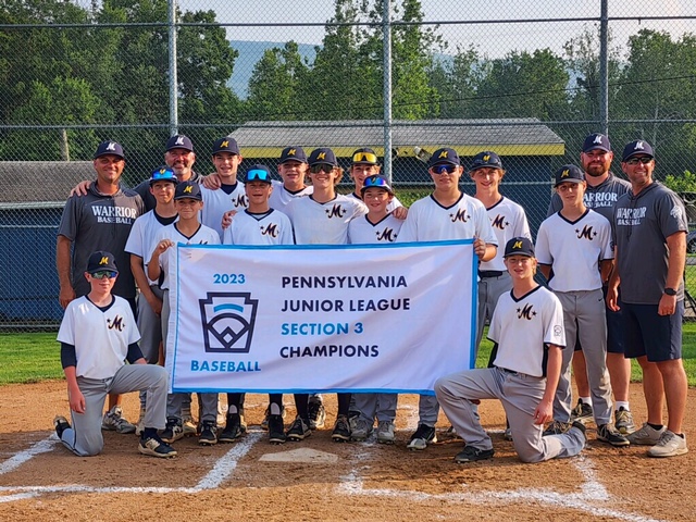 Montoursville juniors win Section 3 title by beating Lewisburg | News ...